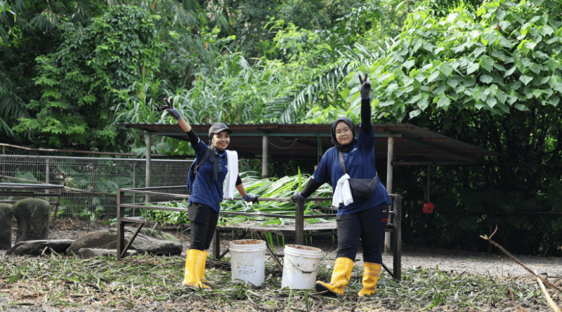 CSR Zoo Negara | Stream Environment